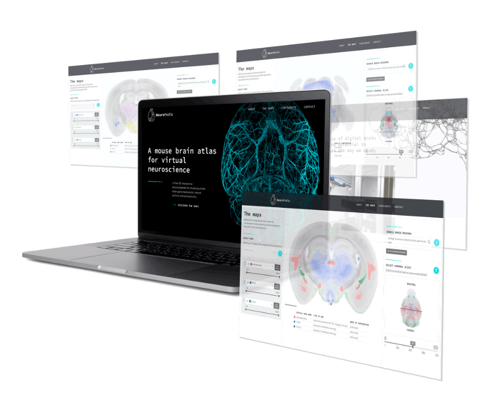 Webinar Digital Brain Maps Are Shaping The Future Of Neuroscience